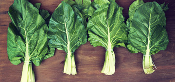 Mangold-Salat: Mit diesem Rezept bereitest du das regionale Gemüse zu ...