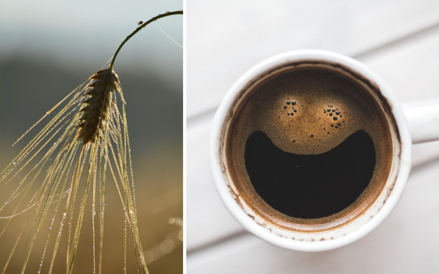 Kaffee-Ersatz gesucht? 9 spannende Kaffee-Alternativen |Utopia.de