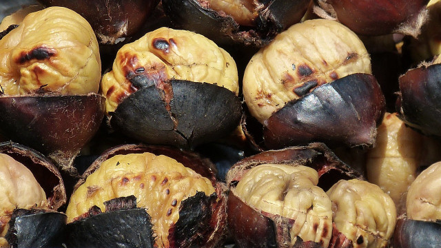 Maronen-Rezepte: Leckere Ideen für die Esskastanien - Utopia.de