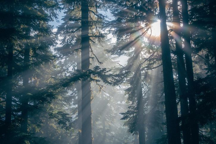 Albedo-Effekt: Diese Bedeutung hat er für den Klimawandel - Utopia.de