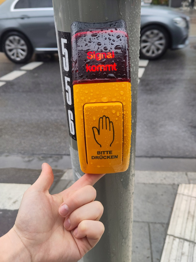 Zweiter Knopf an der Ampel: Kennst du seinen Zweck? - Utopia.de