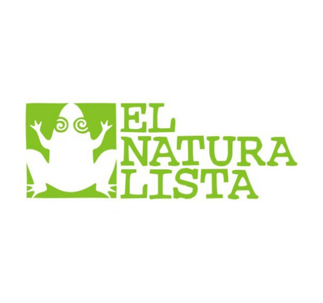 El Naturalista – Die besten nachhaltigen Schuh-Marken im Vergleich