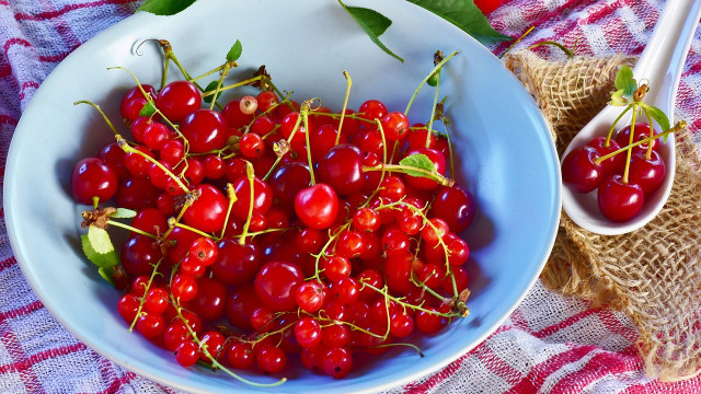 Kirschen einkochen: Einfaches Rezept mit und ohne Zucker - Utopia.de