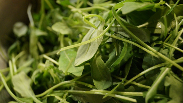 Rucola: So gesund ist die Rauke - Utopia.de