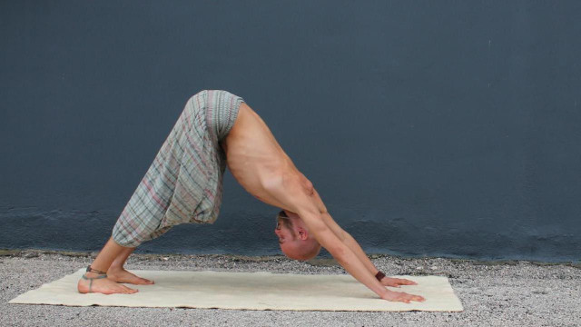 Yoga-Hund: Der herabschauende und heraufschauende Hund einfach erklärt ...