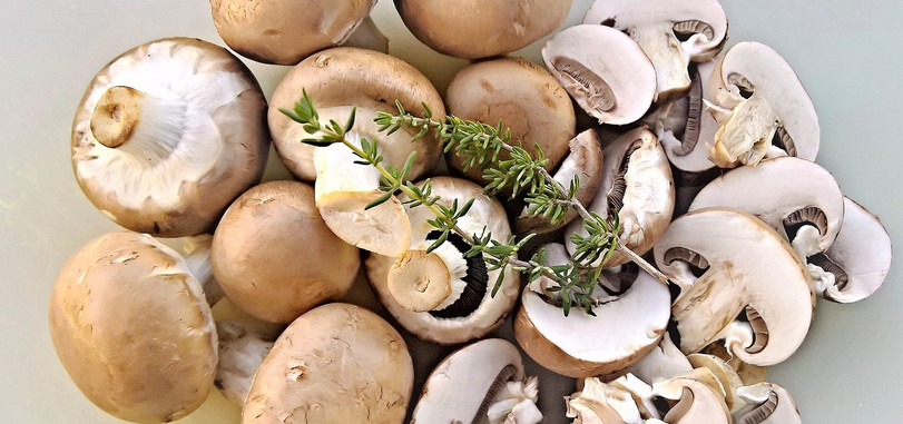 Champignons sind gesund: Alles über die Nährwerte der beliebten Pilzart ...