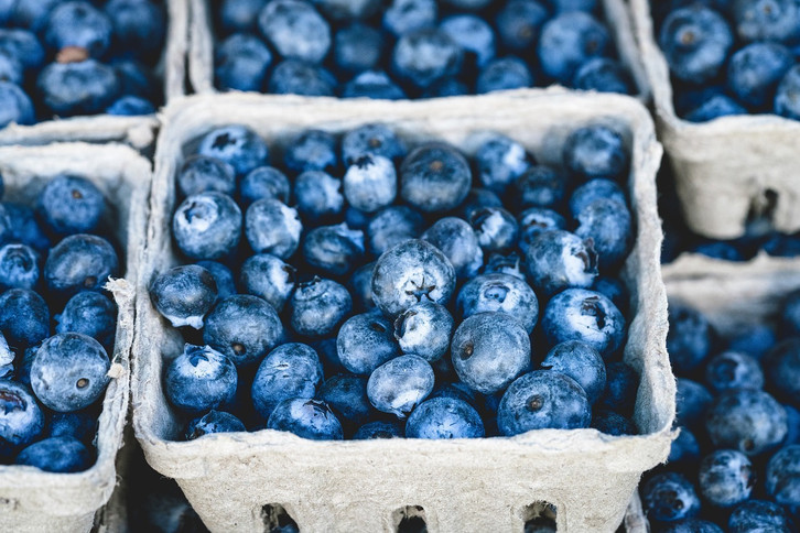 Waldheidelbeeren: Wann sie Saison haben und wo du sie kaufen kannst ...