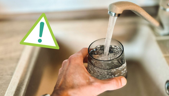 Wraps rollen: Eine einfache Anleitung - Utopia.de