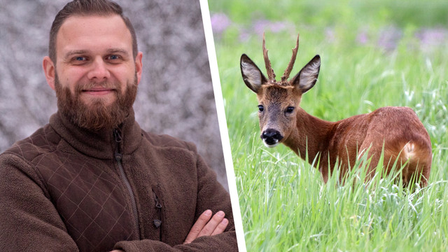 Sich vegan ernähren, aber auf die Jagd gehen: Wie passt das zusammen?