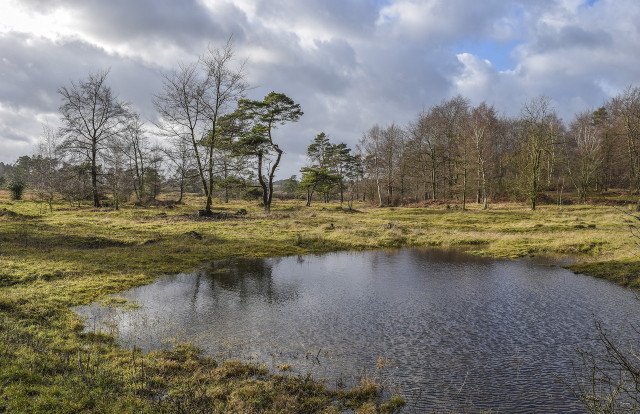 Moor: Die Bedeutung des Moors für das Klima - Utopia.de