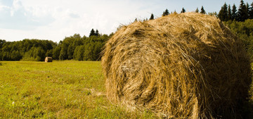 Heublumenbad: Was es bringt und wie es funktioniert - Utopia.de