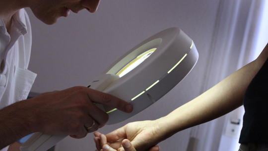 Schafgarbe: Wirkung und Anwendung der Heilpflanze - Utopia.de