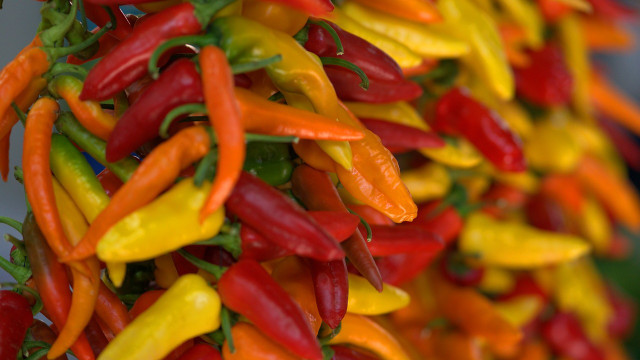 Chili-Sorten: Die besten Sorten in der Übersicht - Utopia.de