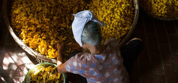 Seide: Was du über die Herstellung wissen solltest - Utopia.de