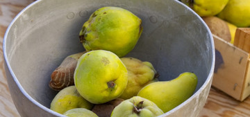 Quitten-Rezepte: So vielseitig ist die Quitte - Utopia.de
