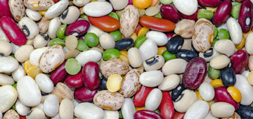 Leguminosen: Pflanzenfamilie, die den Boden verbessert - Utopia.de