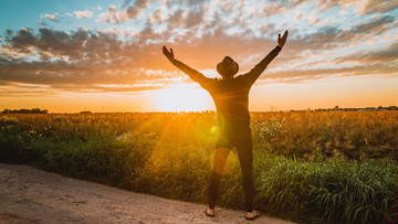 Schafgarbe: Wirkung und Anwendung der Heilpflanze - Utopia.de