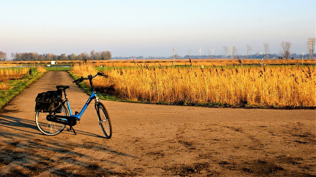 Die 10 schönsten Fernradwege durch Deutschland - Utopia.de