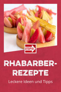 Rhabarber-Rezepte: Leckere Ideen und Tipps - Utopia.de