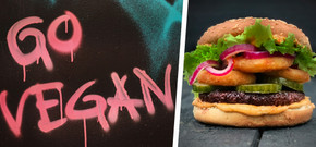 kokku – Veganer Online Shop