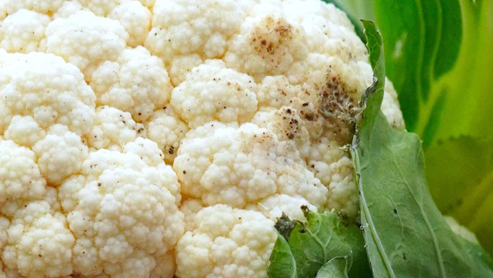 Mehl-Test: Aldi, Lidl & Penny ernten bei Öko-Test Kritik | Utopia.de