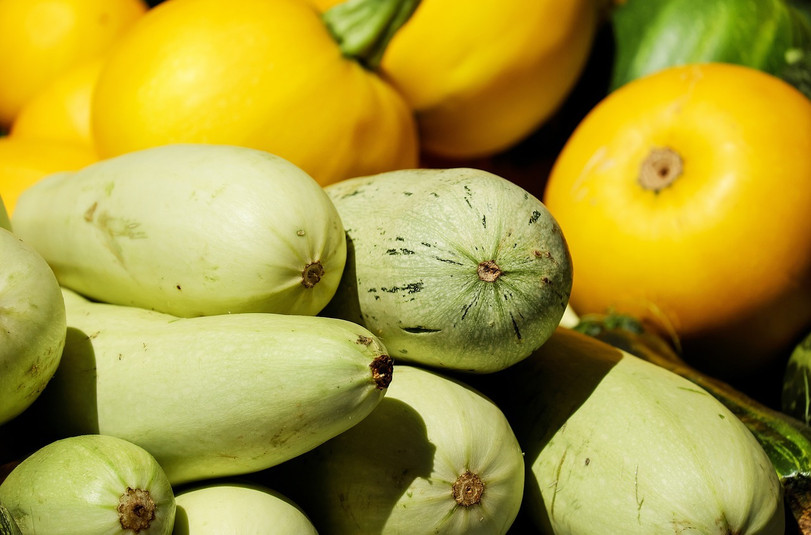 Vorsicht giftig: Wenn eine Zucchini so schmeckt, darfst du sie nicht ...