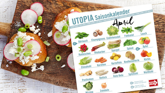 Ingwer lagern: So bleibt er lange frisch - Utopia.de