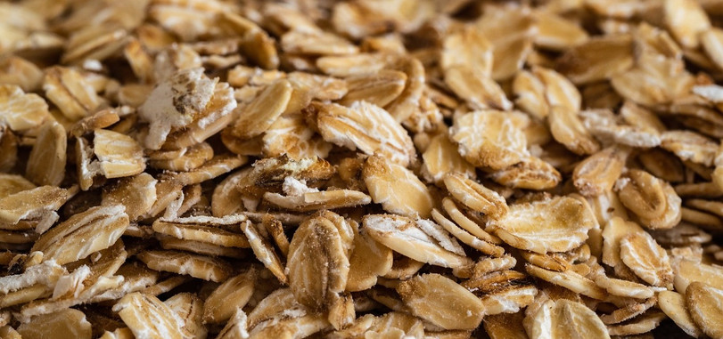 Haferflocken als Futter: So kannst du diesen Wildtieren im Winter ...