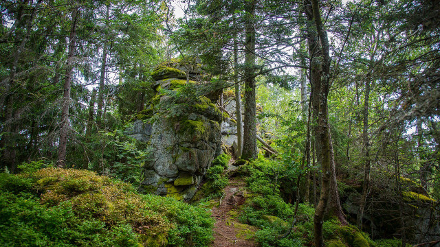 Nationalparks in Deutschland: 16 sehenswerte Ziele - Utopia.de