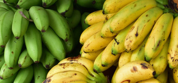 Grün, Gelb oder braun: Wann ist eine Banane am gesündesten? - Utopia.de